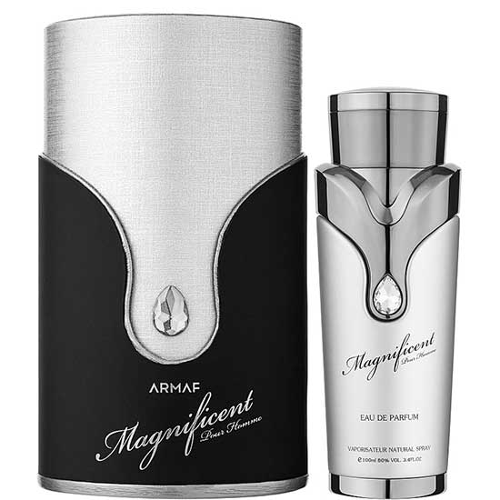 Armaf Magnificent Pour Homme Мъжки Парфюм 6173 на ХИТ цена — Perfume-bg.eu